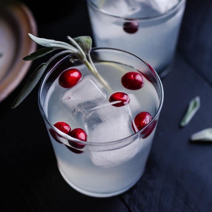 Cranberry Gin Cocktail – Salted Plains