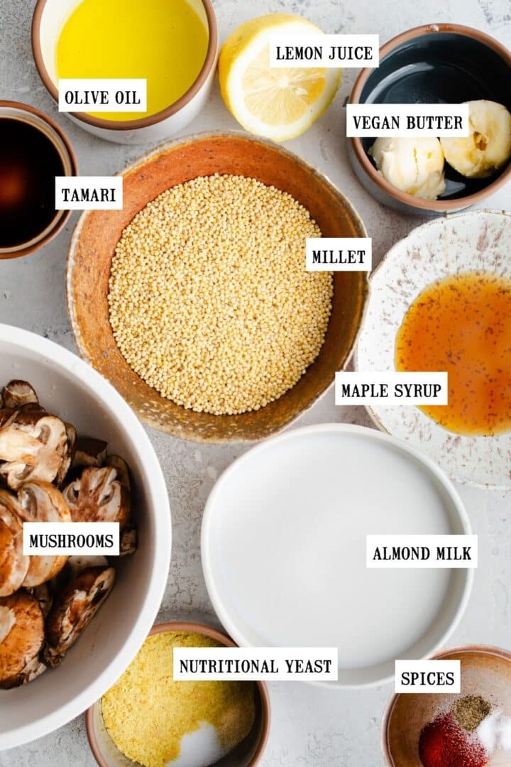 Millet Grits with Mushrooms – Salted Plains