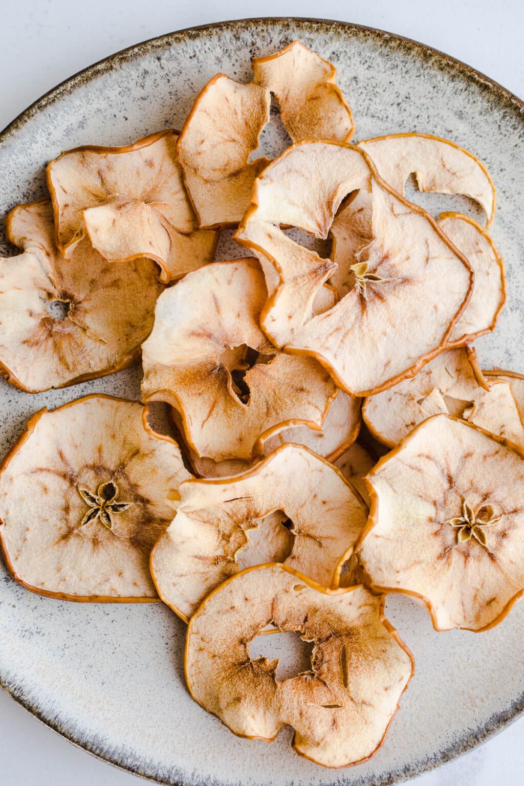 How to Make Dried Apples (In the Oven) – Salted Plains