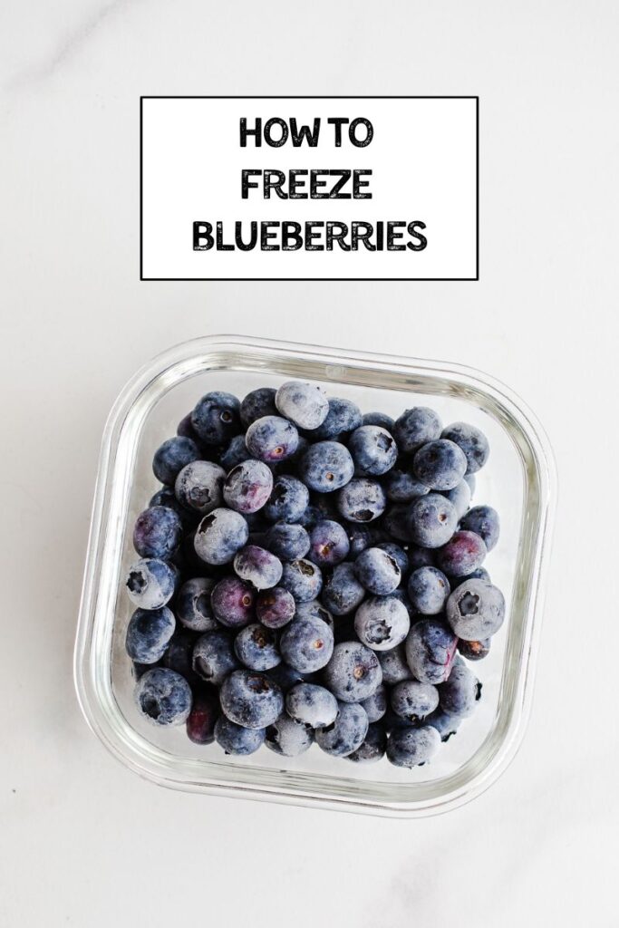 How to Freeze Blueberries – Salted Plains