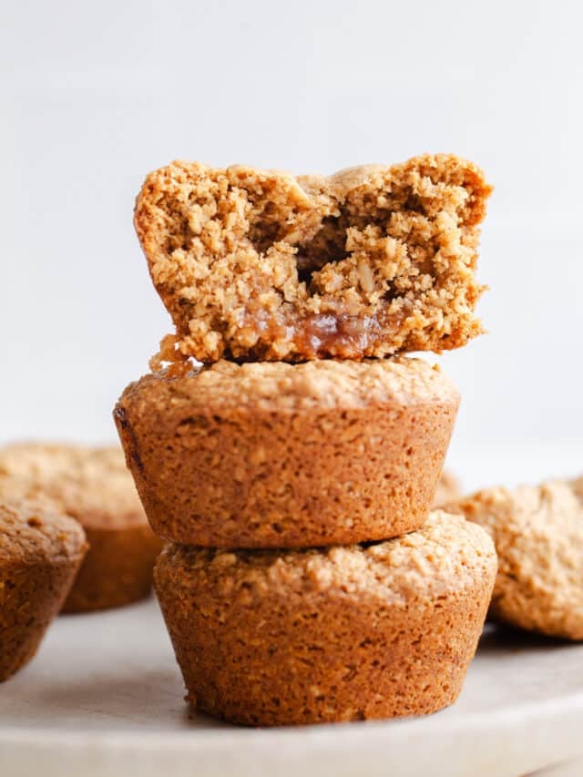 Healthy Oat Bites (Bobo's Copycat Recipe) – Salted Plains